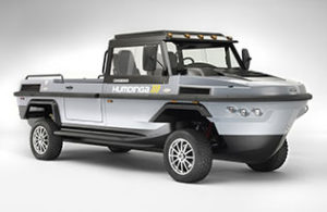 GIBBS-PREM-PIC-HUMDINGA-P1-009 - Gibbs Amphibians