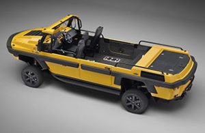 GIBBS-PREM-PIC-HUMDINGA-P2-022 - Gibbs Amphibians