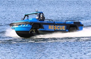 GIBBS-PREM-PIC-HUMDINGA-P2-030 - Gibbs Amphibians