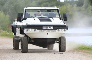 GIBBS-PREM-PIC-HUMDINGA-P2-043 - Gibbs Amphibians